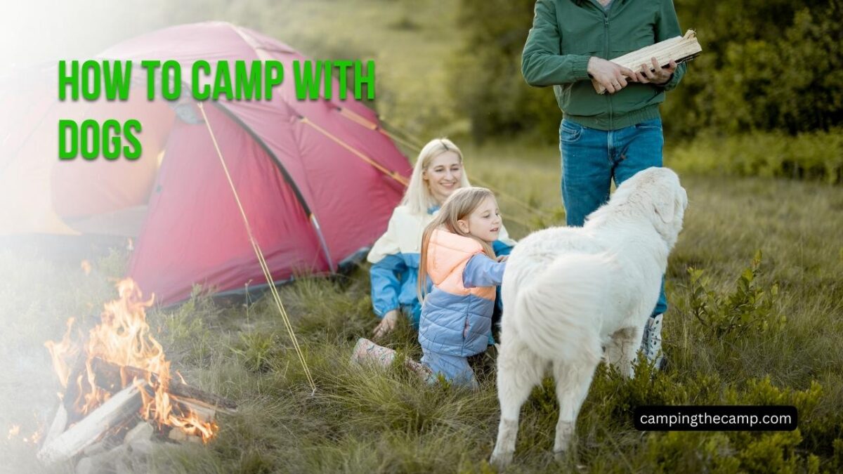 How to Camp with Dogs: Tips and Tricks for a Safe and Enjoyable Experience